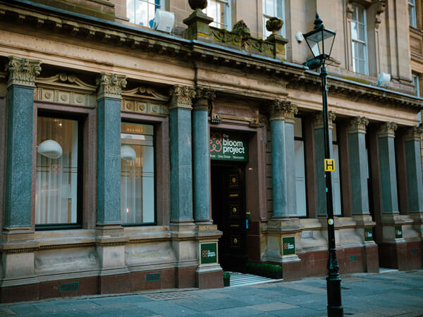 Behind the Scenes at The Bloom Project: A Glimpse into Life at Bloom ...